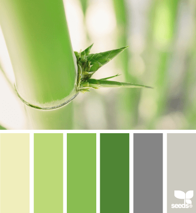 Design-Seeds | the circle of life